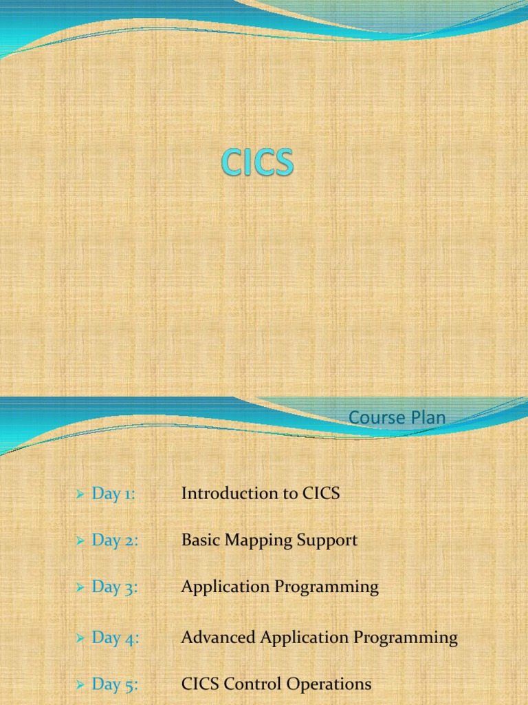 CICS | PDF | Parameter (Computer Programming) | Computer Programming