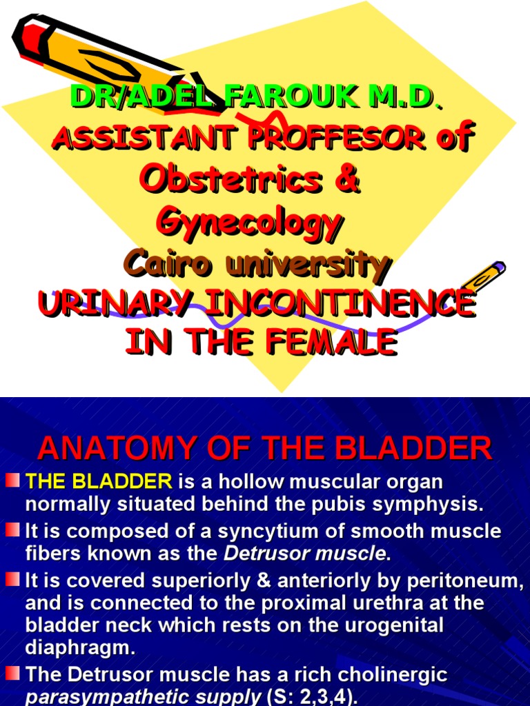 Urinary Incontinence | PDF | Urinary Incontinence | Urinary Bladder