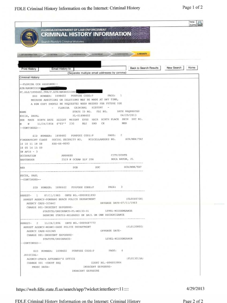 FDLE Criminal History Information - Paul Kucik | PDF | Criminal Record ...