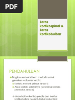 Skala NIHSS untuk Penilaian Stroke | PDF