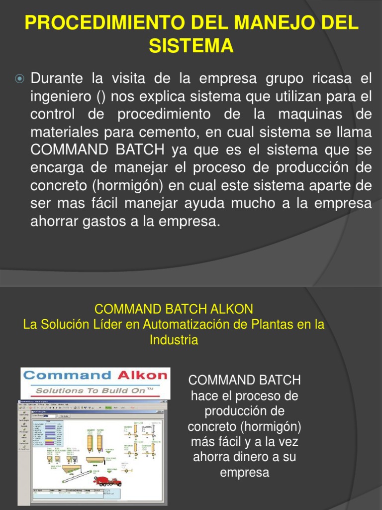 Manejo del Sistema Command Batch | PDF | Negocios | Informática