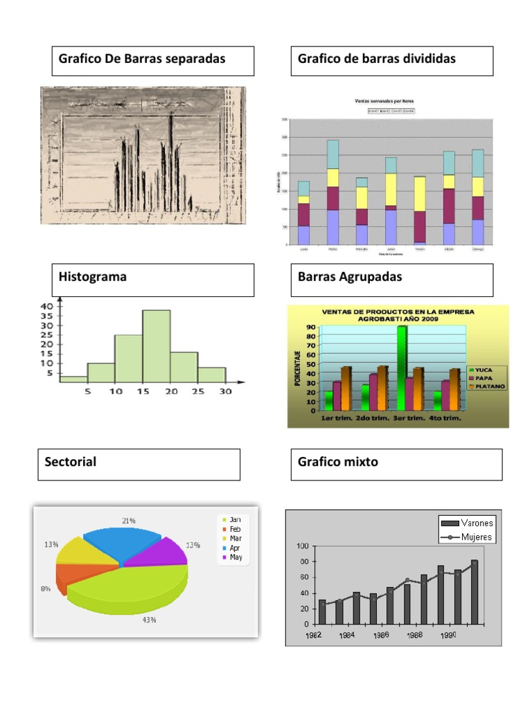Tipos De Graficos Matematica Tipos De Gráficas Diccionario De
