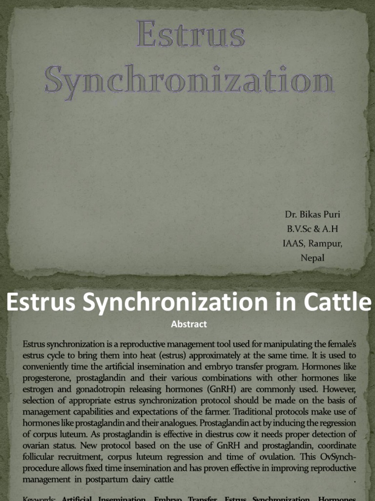 Estrus Synchronization In Cattle Ppt File Pdf Luteinizing Hormone Womens Health