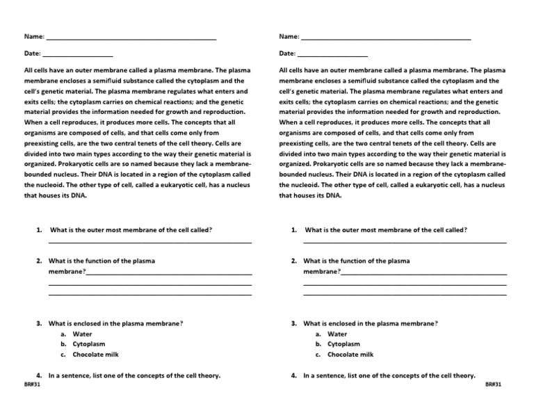 Bell Ringer - Reading About Cells | PDF | Cell (Biology) | Cell Membrane