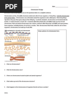 Dialysis Tubing Osmosis Experiment | PDF | Chemistry | Physical Sciences