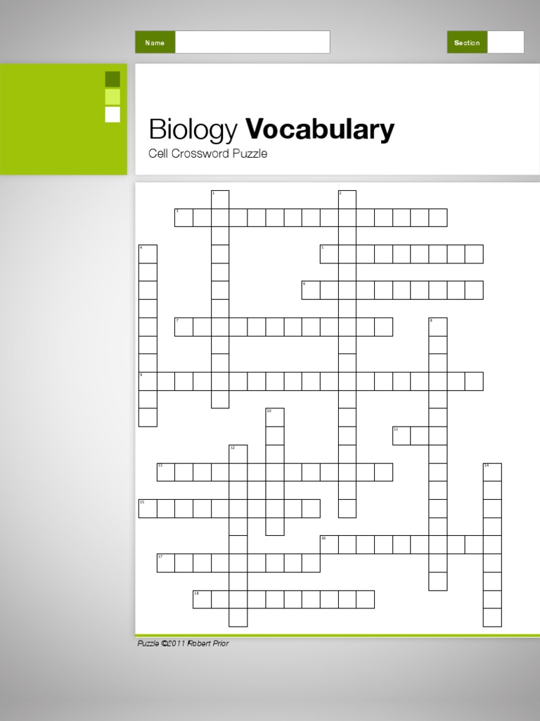 Biology Word Puzzles | PDF | Tissue (Biology) | Cell (Biology)