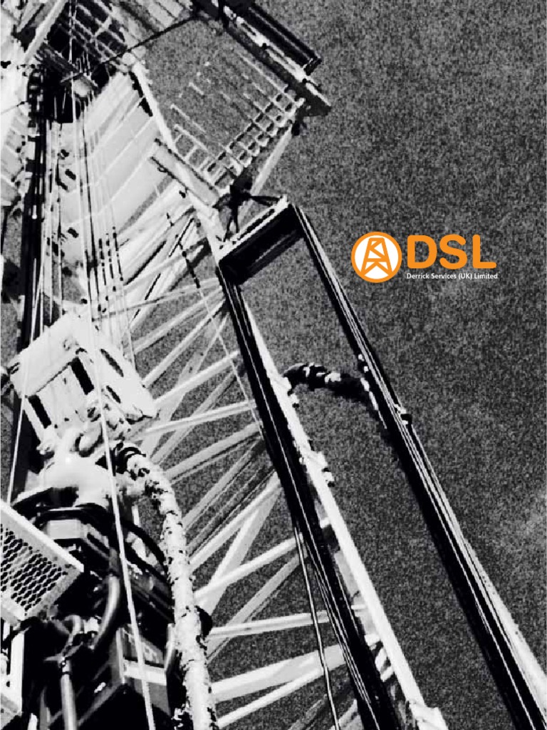 #01 DSLBrochure | PDF