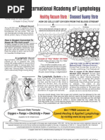 Esther Park - SOAP NOTE - Abdominal Pain | PDF | Constipation ...