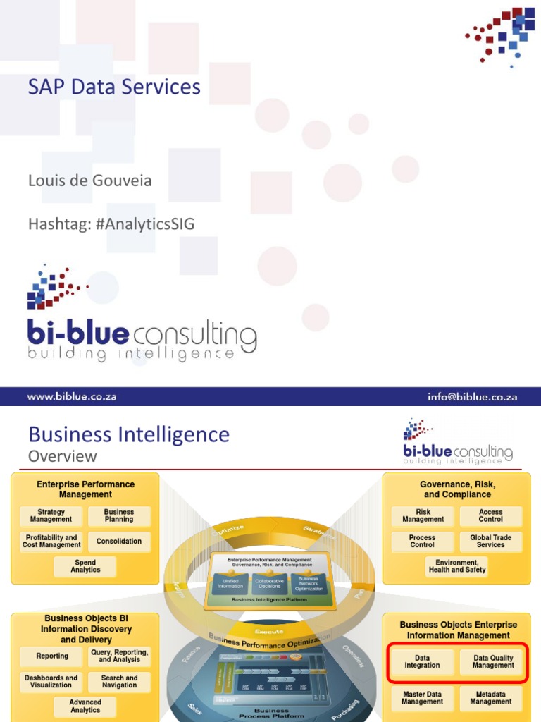Sap Data Services: Louis de Gouveia Hashtag: #Analyticssig | PDF ...