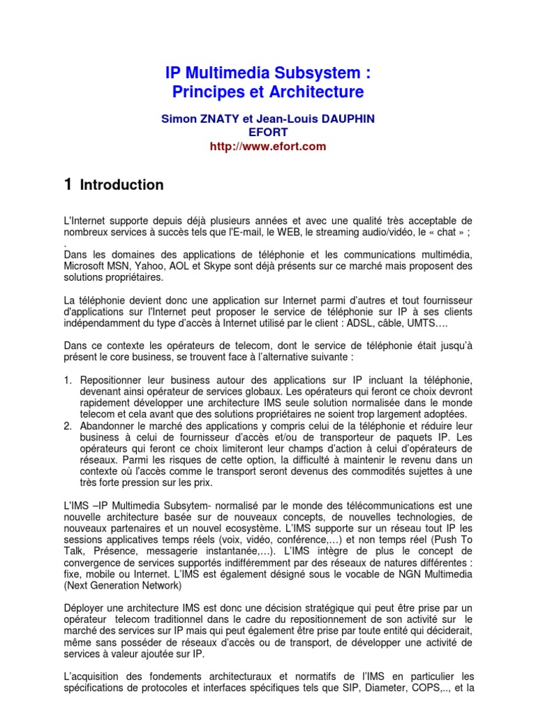 Ims Efort | PDF | Affaires | Ordinateurs