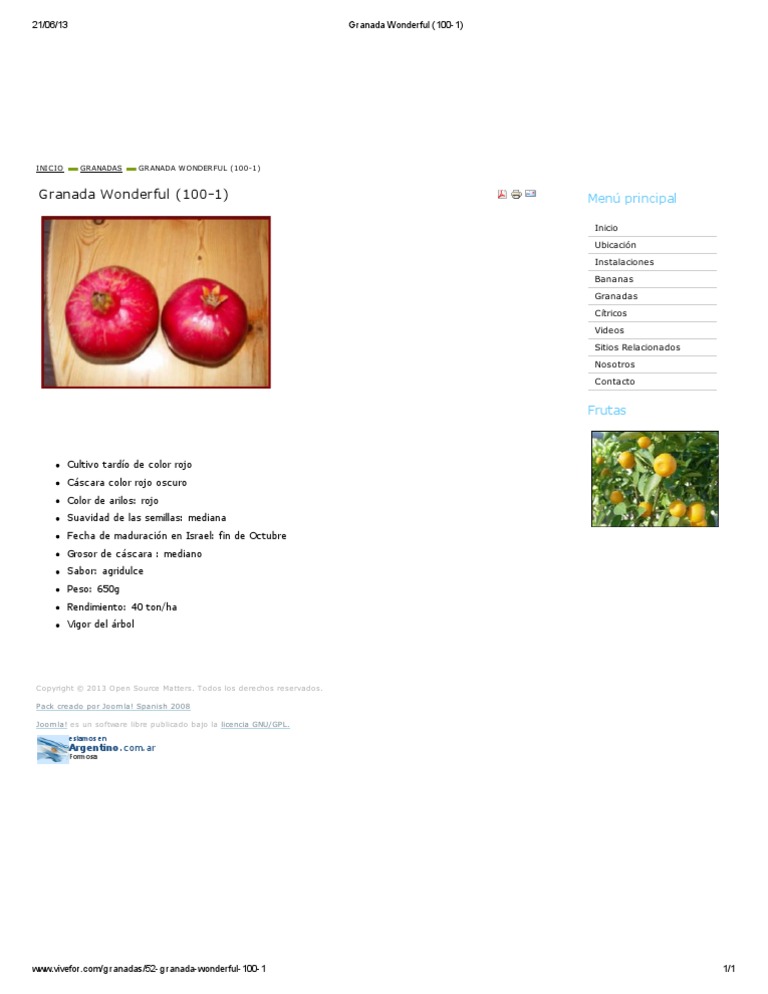 Granada Wonderful (100-1) | PDF | Cocina, comidas y vino | Ciencia y ...