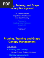 Apple Festival _ Official Website of the Office de Tourisme Des ...