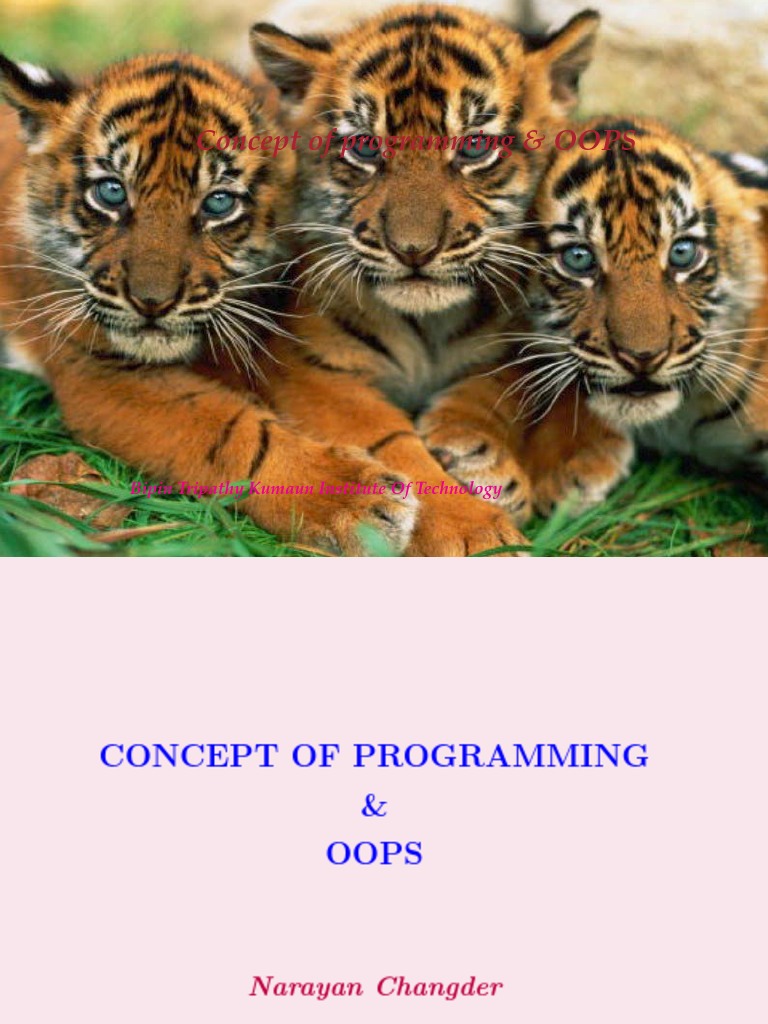 Oops Notes Unit Wise | PDF | Integrated Development Environment | Unix Oops Notes Unit Wise | PDF | Integrated Development Environment | Unix