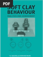 Coduto - Soils Book | PDF