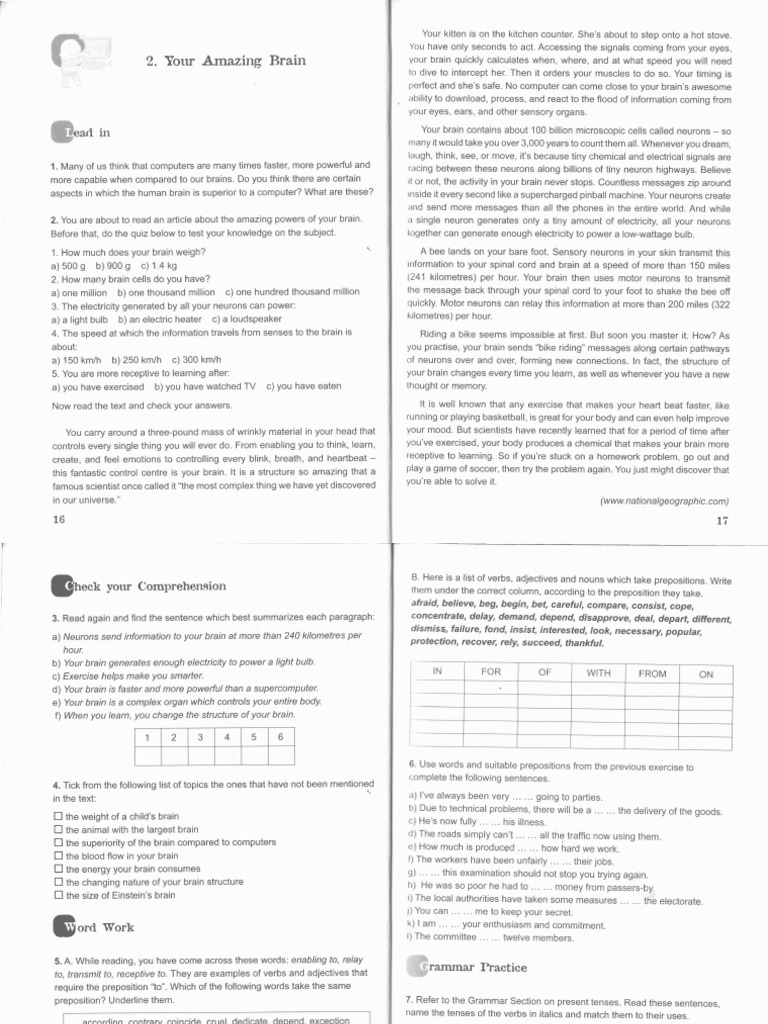 Your Amazing Brain | PDF | Brain | Neuron