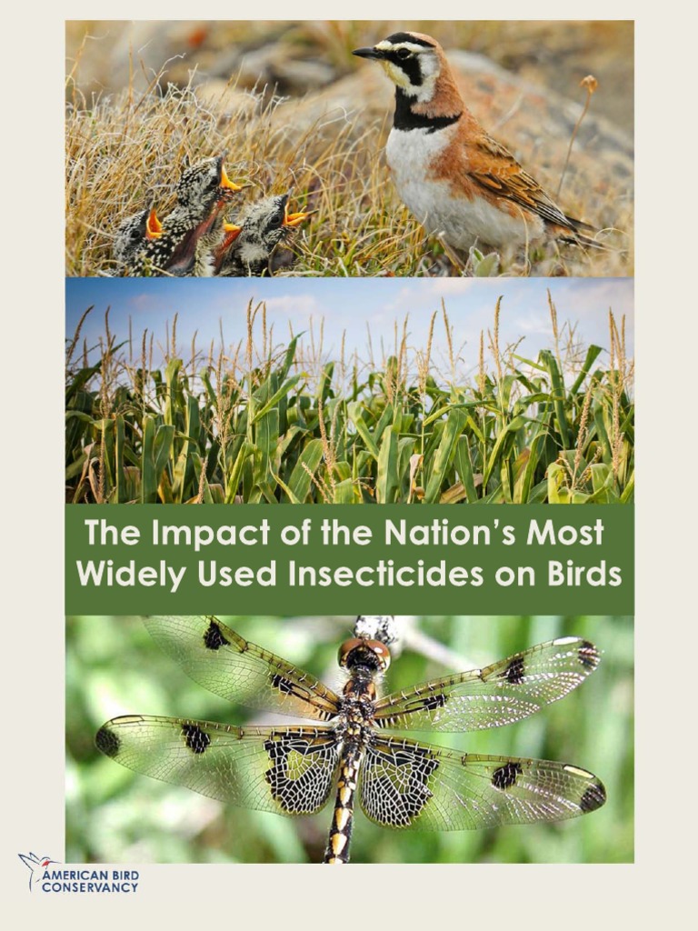 Neonic Final | PDF | Pesticide | Insecticide