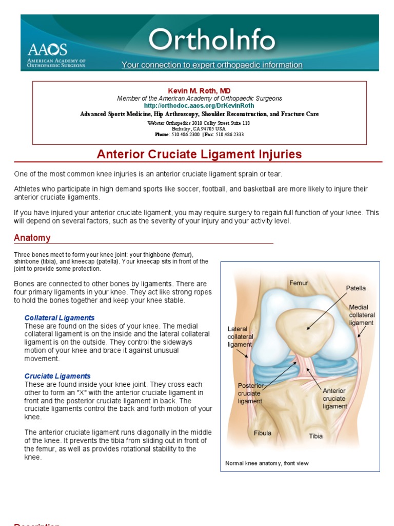 Anterior Cruciate Ligament Injuries-Orthoinfo - Aaos | PDF | Knee ...
