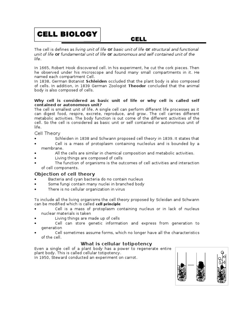 Cell Biology | PDF | Meiosis | Mitosis