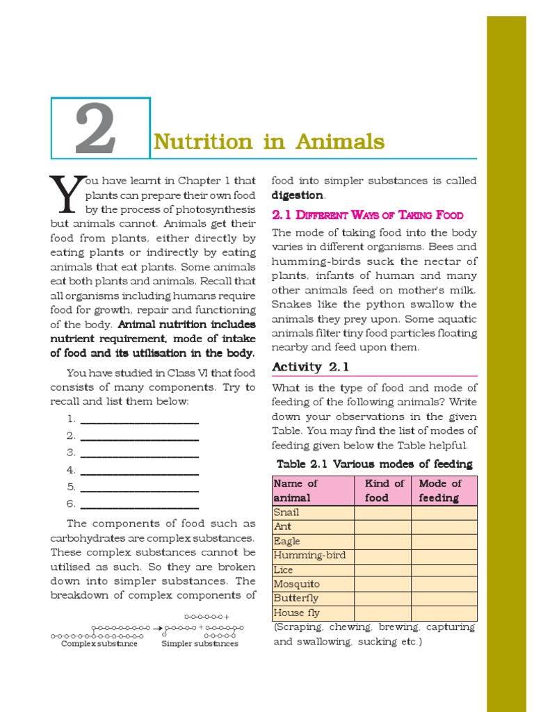 Class7 Science Unit02 NCERT | PDF | Digestion | Human Digestive System
