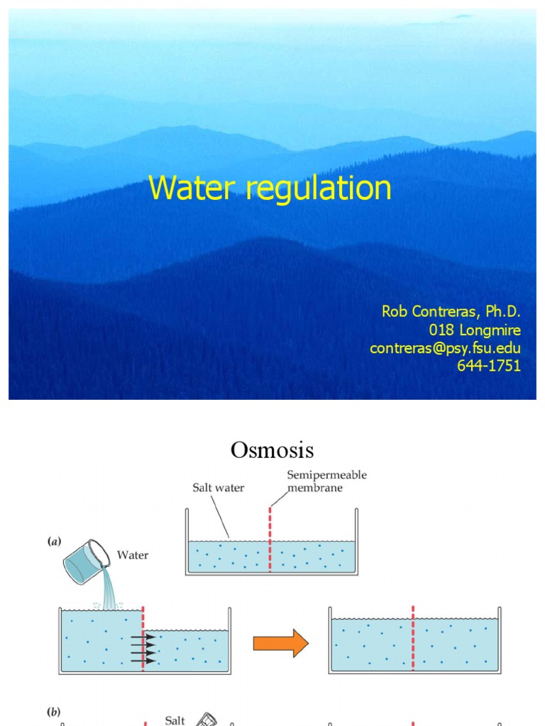 Water Regulation: Rob Contreras, Ph.D. 018 Longmire Contreras@psy - Fsu ...