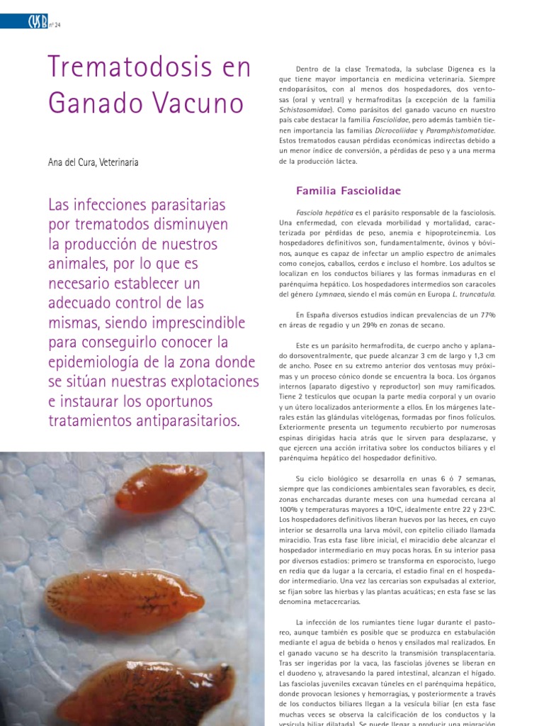 Cys 24 28-31 | PDF | Especialidades Medicas | Salud y bienestar