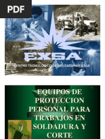 Pictogramas EPP | PDF