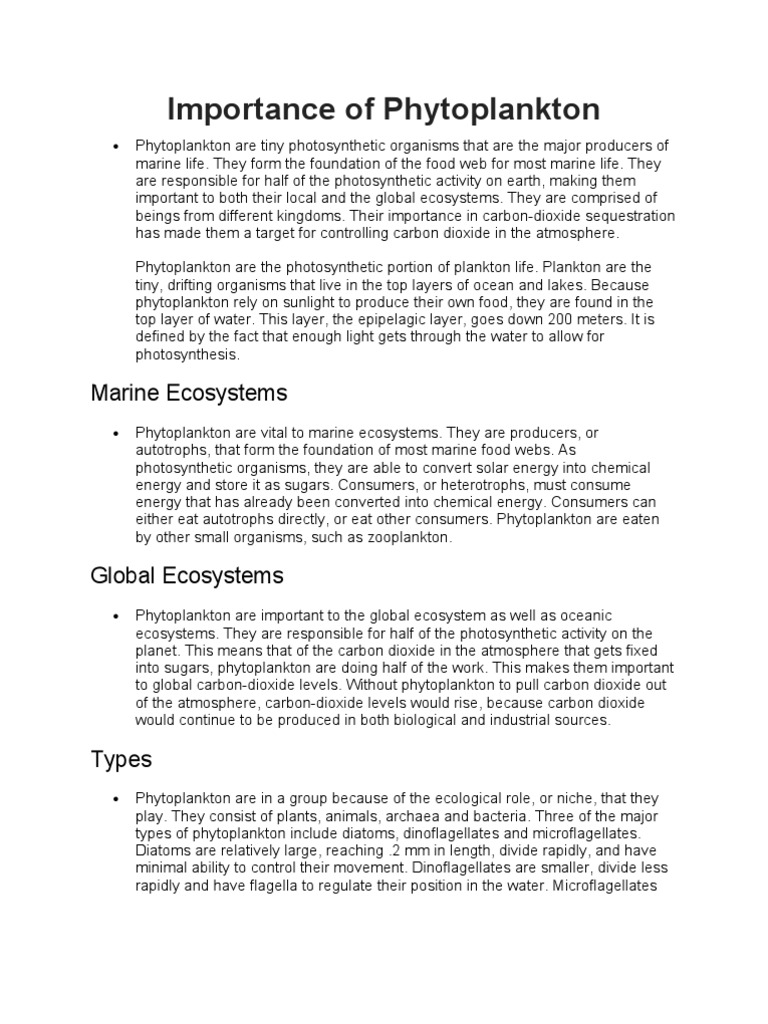 Importance of Phytoplankton | PDF | Phytoplankton | Plankton