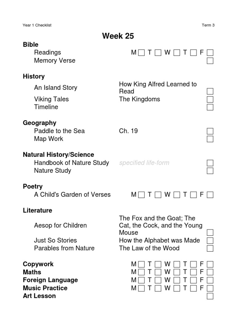 Year 1 Term 3 Checklist | PDF