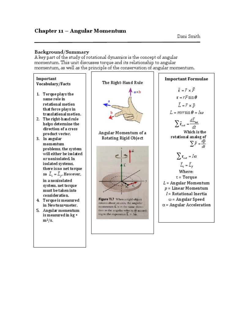 Understanding Angular Momentum Concepts | PDF | Torque | Angular Momentum