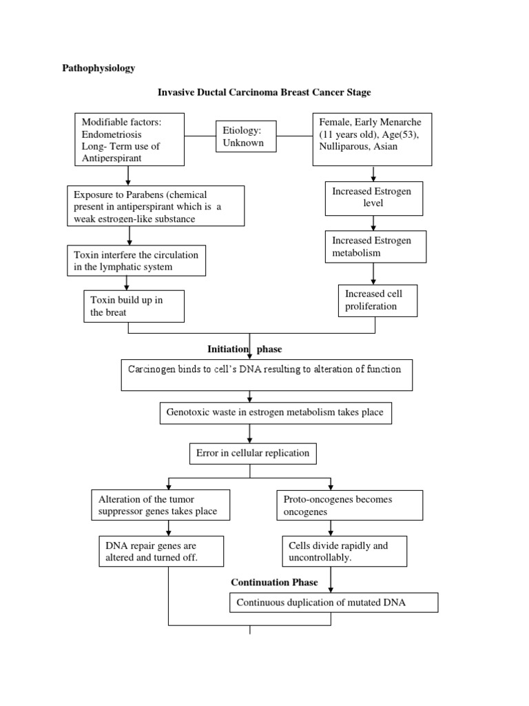 Breast Cancer Pathophysiology Overview | PDF | Metastasis | Neoplasms