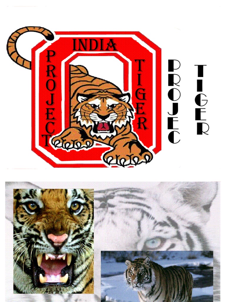 Project Tiger | PDF | Tiger | Poaching