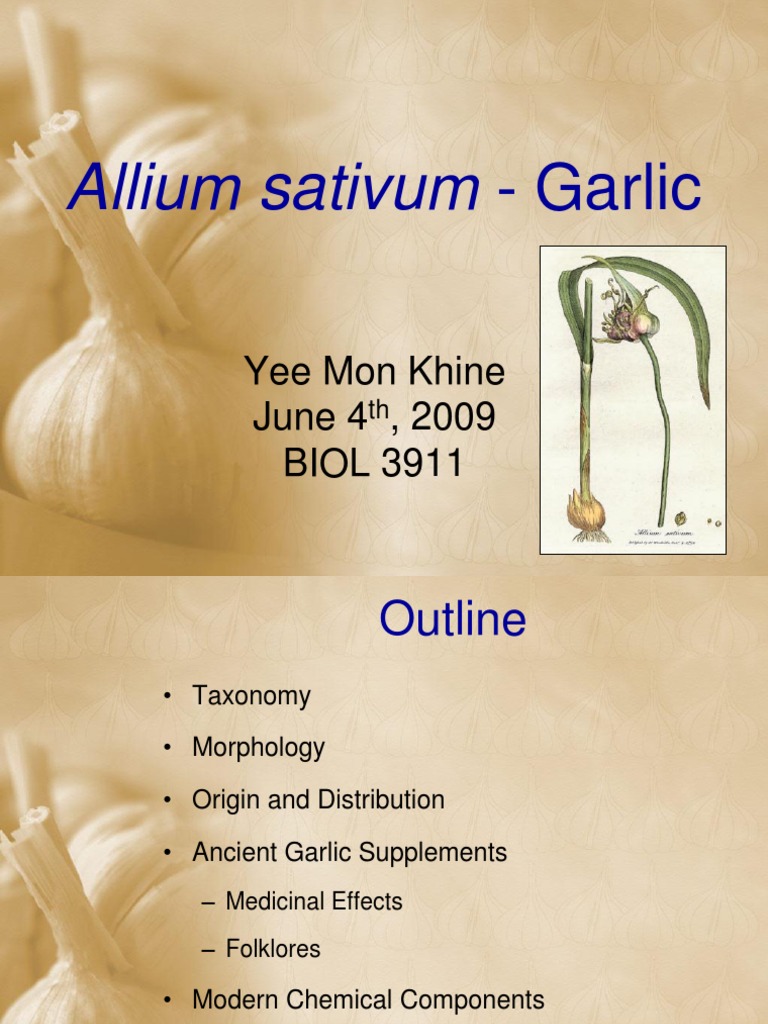 Allium Sativum (Final Draft) | Garlic | High Density Lipoprotein