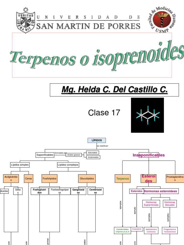 Terpenos Pdf Vitamina E Lípido