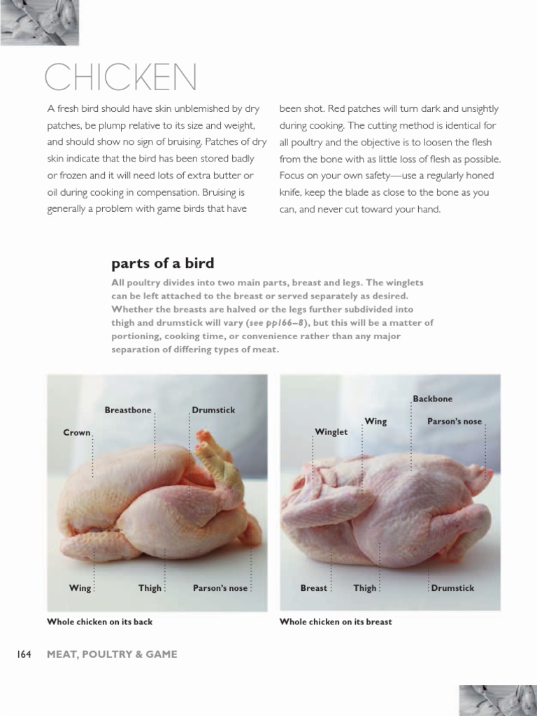 Cutting Chicken | Poultry | Meat