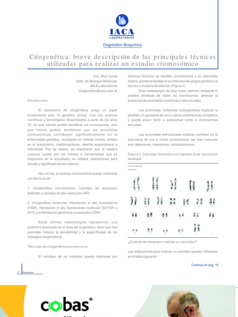 Indicaciones para El Estudio Citogenético | PDF | Hibridación in situ ...