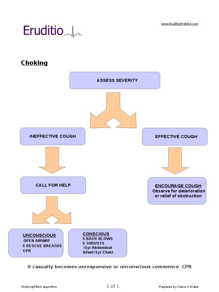 5.adult and Child FBAO Algorithm | PDF