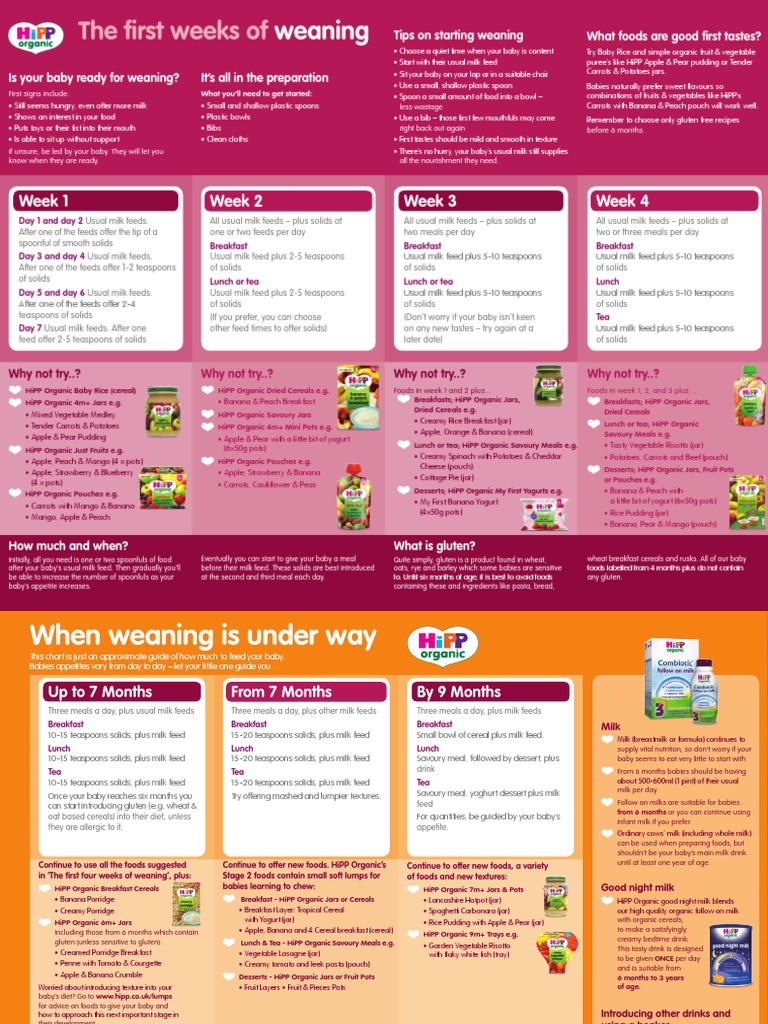 Weaning Chart | Lunch | Meal