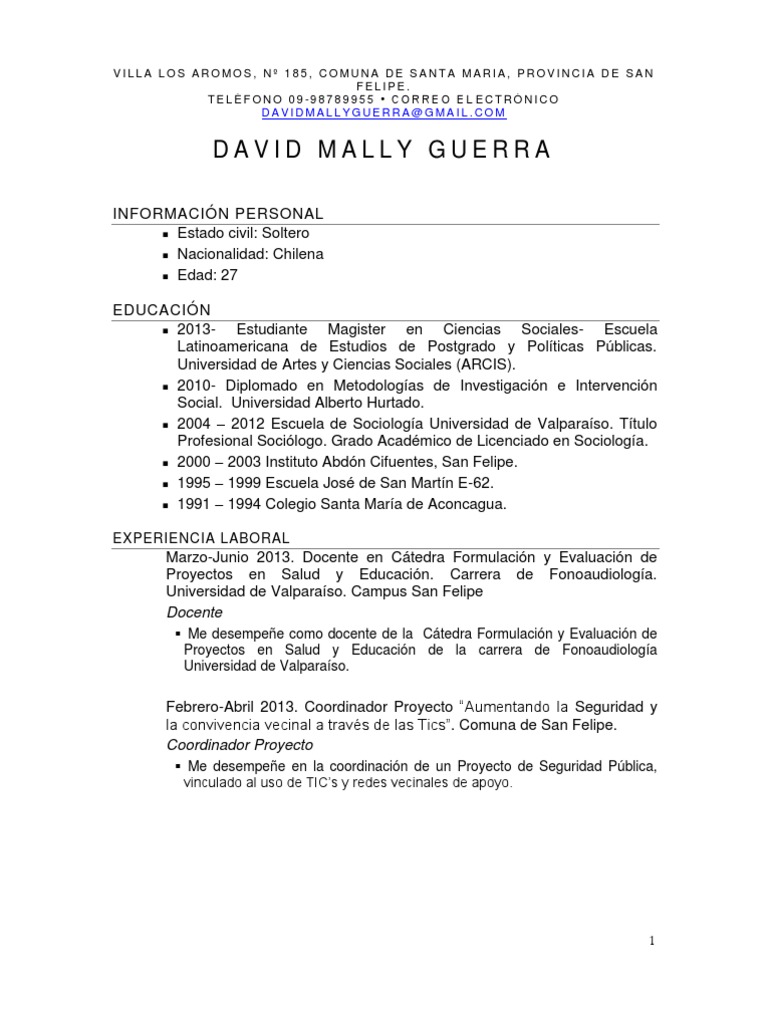 CV David Mally - 2013 | PDF | Universidad | Sociología
