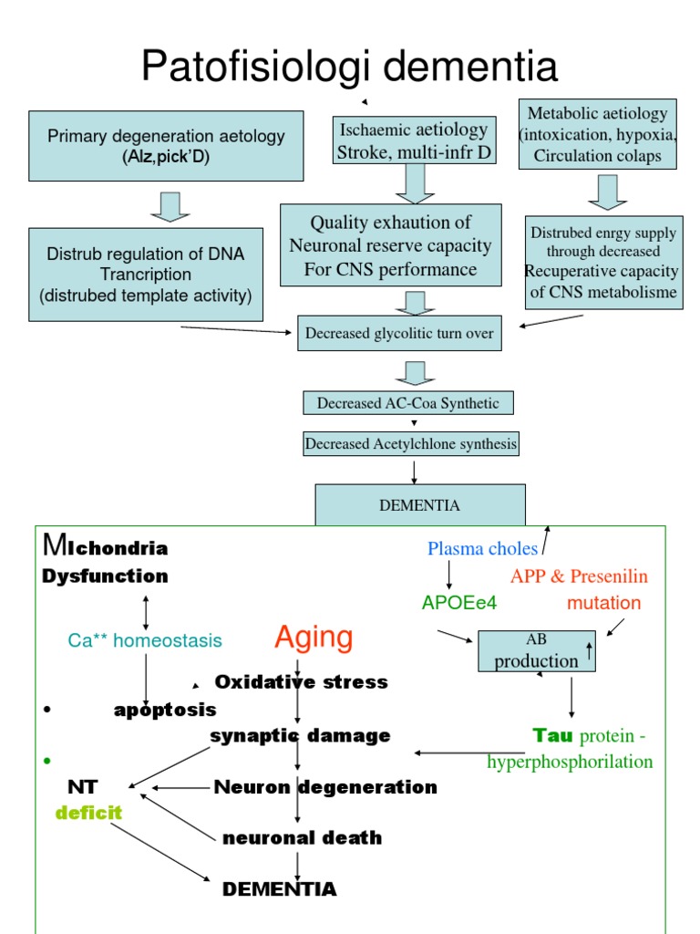 Causes and Pathophysiology of Dementia Explained | PDF