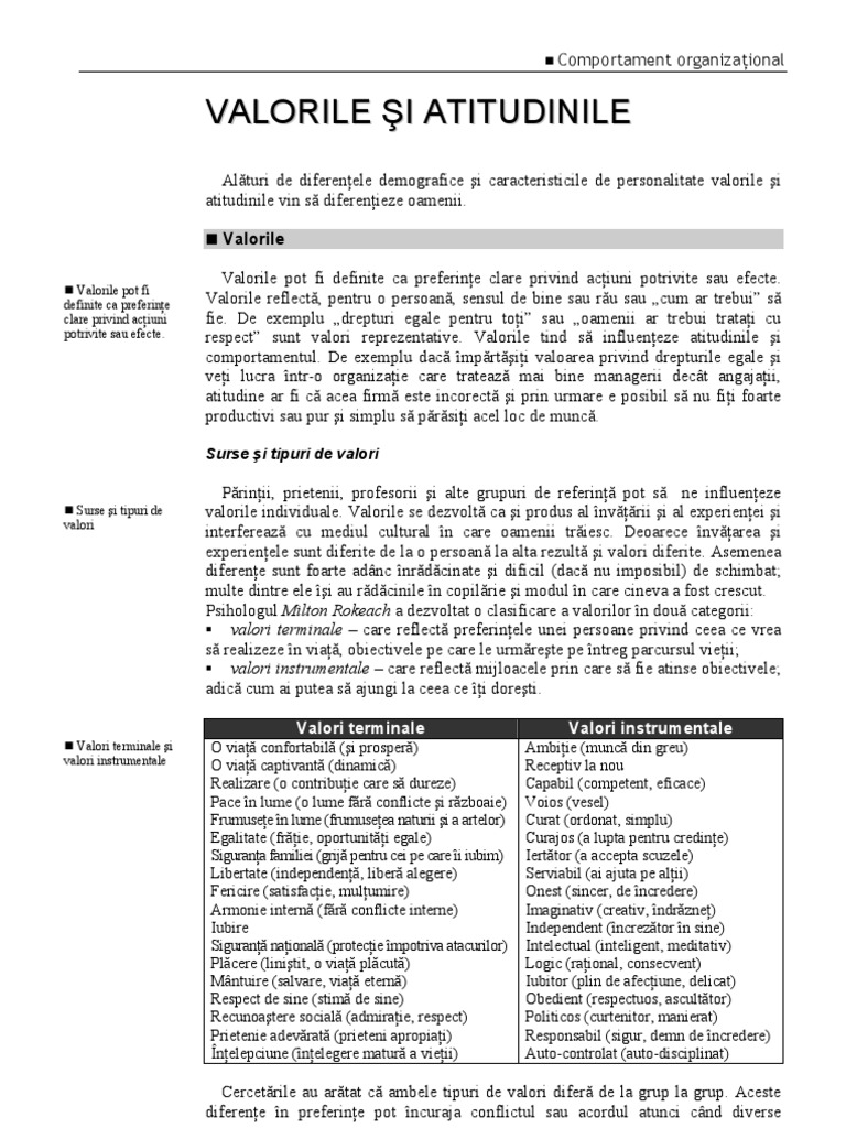Curs 03 Valori Si Atitudini | PDF