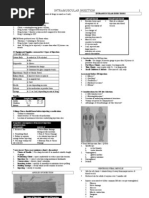 Intramuscular Injections | PDF | Injection (Medicine) | Musculoskeletal ...
