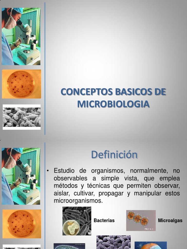 Conceptos BásIcos de microbiología.pptx | Bacterias | Microorganismo