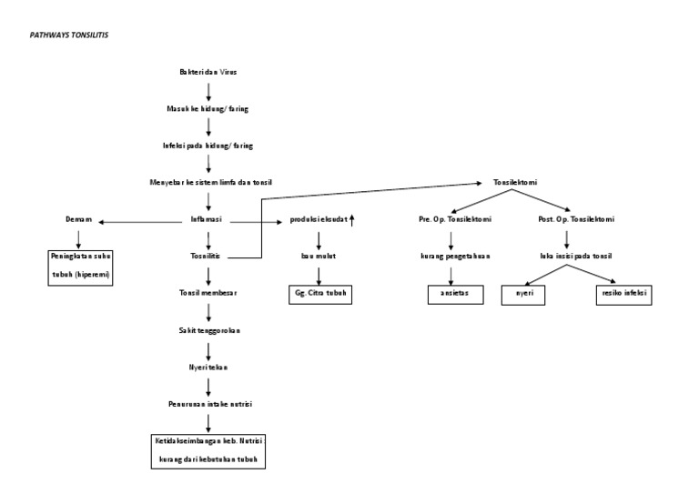 The Pathways of Tonsillitis | PDF