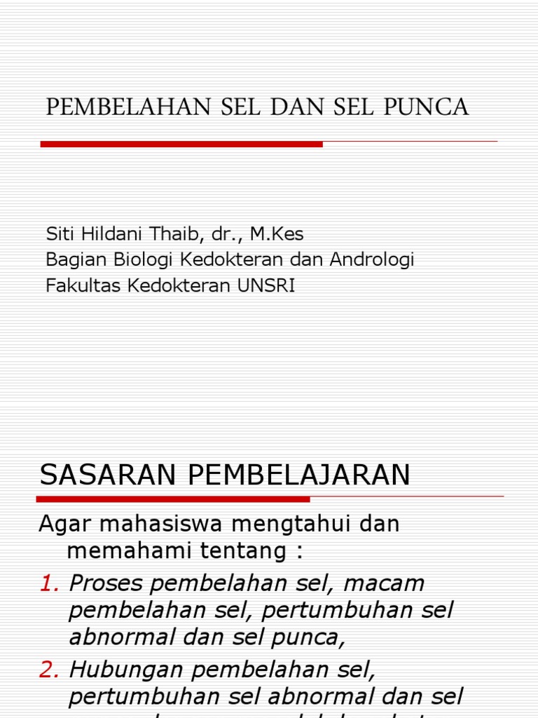 SEL Punca | PDF