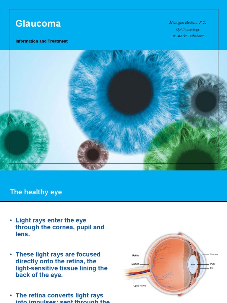 Glaucoma: Information and Treatment | PDF | Glaucoma | Visual System