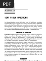 Pilonidal Pit Picking Procedure Guide | PDF | Clinical Medicine ...