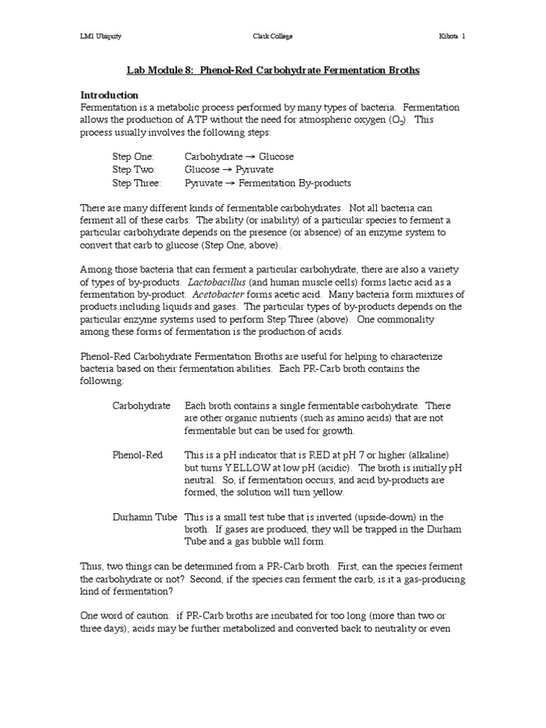 Phenol-Red Carbohydrate Fermentation Broths PDF | PDF | Fermentation ...