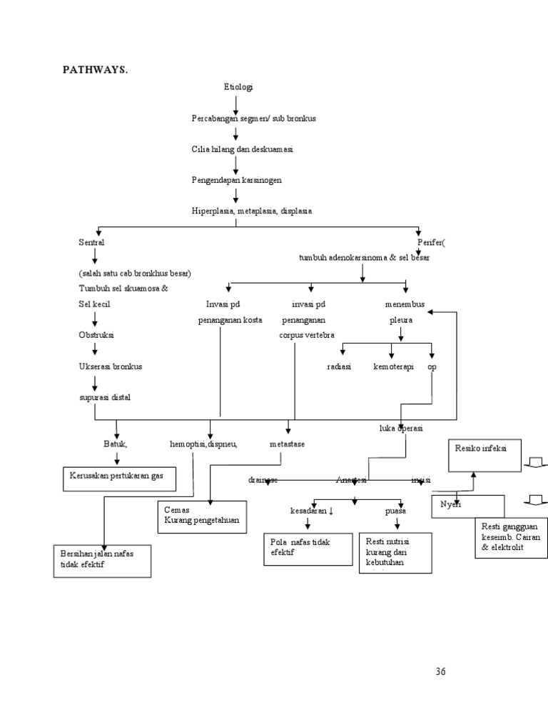 Pathway CA Paru | PDF