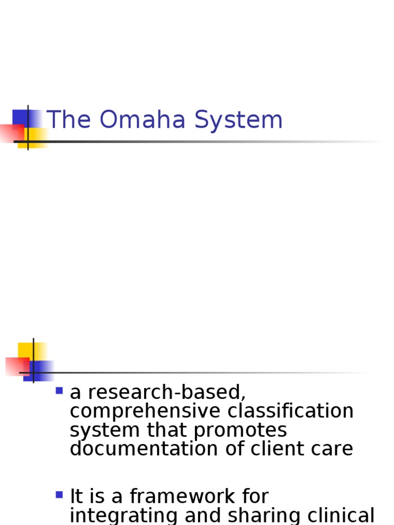 The Omaha System-Final | PDF