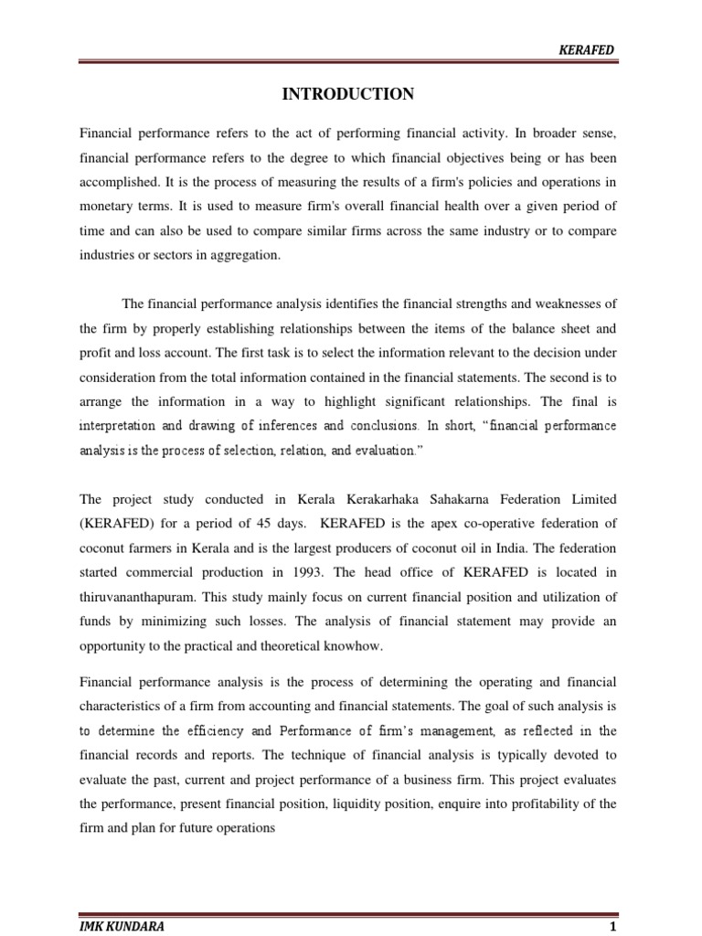 Project | PDF | Financial Statement | Expense